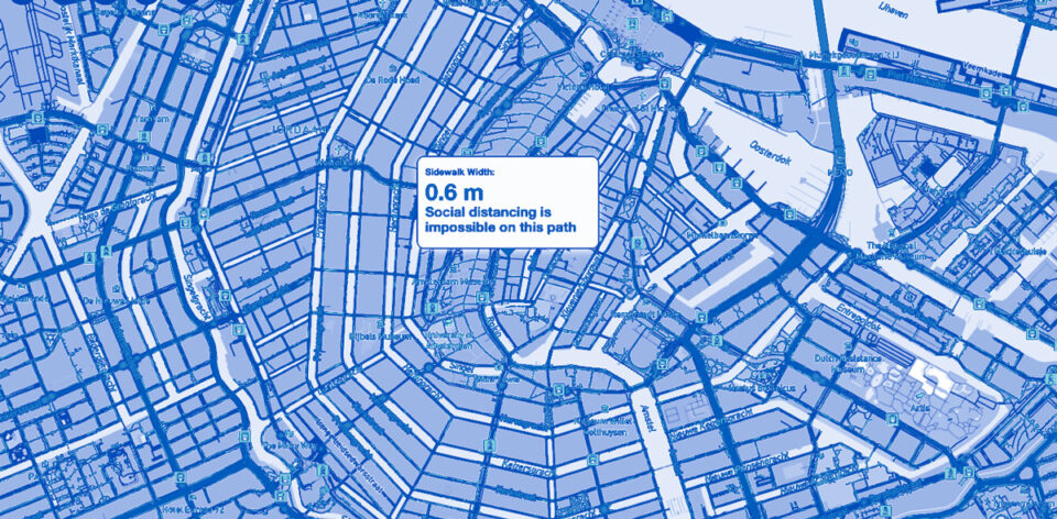 AMS Institute - Blossity